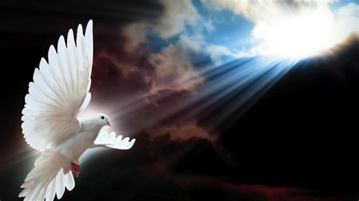 20 shares | Jesus Ancestry Dot Com: Homily for Christmas Vigil 2025 | Emmanuel Inedu Ochigbo | Facebook