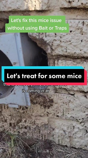 How to Catch Mice Without a Trap: Professional Foam Pit Cleaning Guide