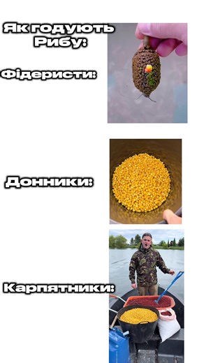 Catch More Carp: Tips and Tricks for Successful Fishing