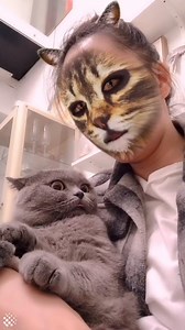 Cats react hilariously when they see cat filter on owners faces. | Newsflare