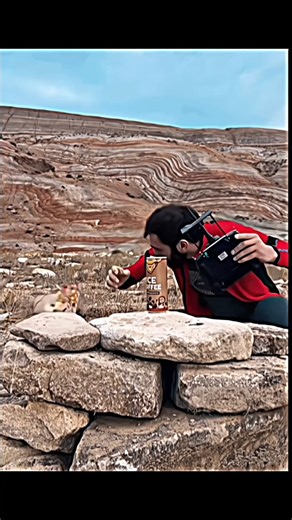 EDITING_BOTS on Instagram‎: "MY STORY ❤️‍🩹 Off the coast of Anzonzi, fishermen discovered a creature on the shore that locals called "zombie fish". Interestingly, this fish is completely lacking internal organs, but it is still moving and even swimming, which raises the real and logical question: How is this possible? Biologists say there are probably parasites inside the fish that are able to control its movements even after it dies. But this phenomenon is rarely seen in insects and is in fish