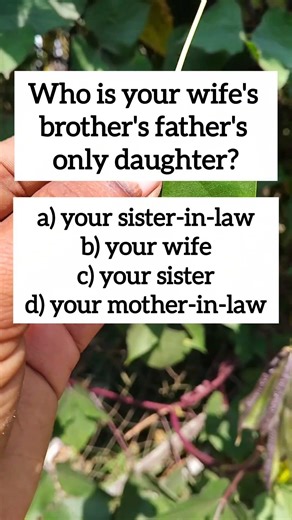 IQ Test: Solve in 5 Seconds!