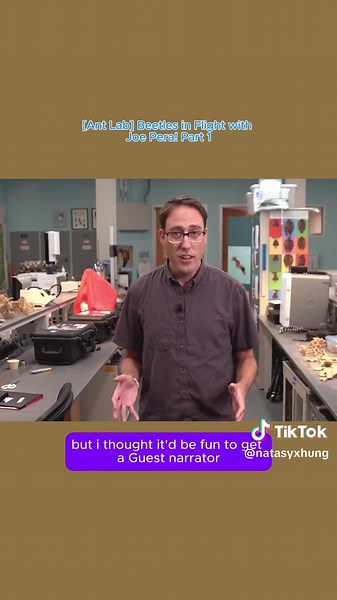 Beetles in Flight Explained by Joe Pera