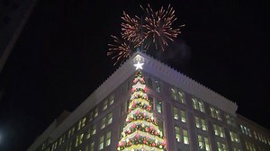 23K views · 898 reactions | More Light Up Night fun in Pittsburgh: Check out the Unity Tree lighting and rooftop fireworks! (This is the old Horne's department store building at Penn and Stanwix.) | WTAE-TV Pittsburgh | Facebook
