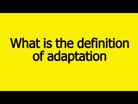 what is the definition of adaptation