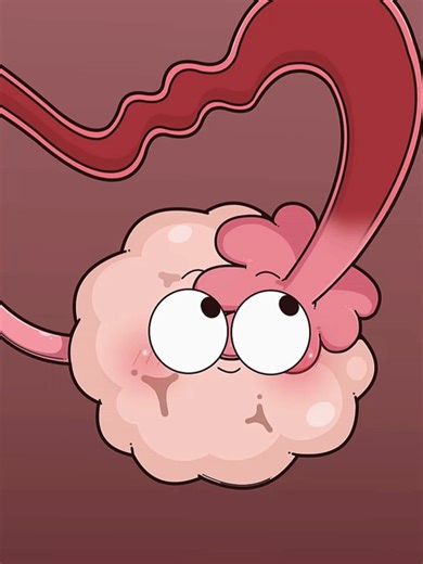 Tu as déjà entendu parler du “Bébé de Pierre” ? 🗿👶 Derrière ce nom incroyable se cache un phénomène médical réel, rare et fascinant, connu sous le nom de Lithopédion. Dans cette animation courte et pédagogique, découvre : 🧬 comment une grossesse extra-utérine peut se calcifier, 😮 pourquoi le corps humain transforme parfois l’impensable en “protection”, 😂 et comment la science explique ce mystère sans tomber dans le sensationnalisme. Une histoire vraie, choquante et captivante, racontée avec