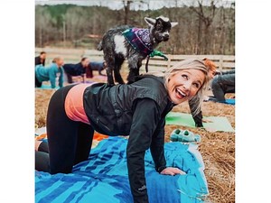 Birmingham's October Wellness Guide: "Boo-Tox," Goat Yoga & More!