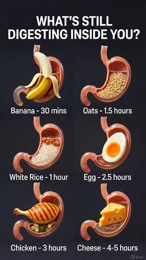 22K views · 527 reactions | Digestion Time of 6 Common Foods - What Your Body Really Does! Dr Aby B Abraham Your GUT Doctor | Aby B Abraham | Facebook