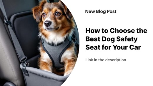 1.1K views | Car accidents injure over 100,000 pets annually, but...