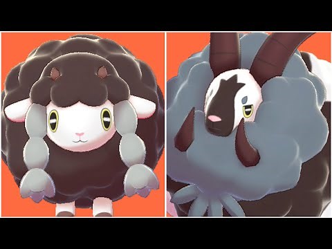 FULL WOOLOO EVOLUTION TEAM! Shiny Wooloo, Shiny Dubwool
