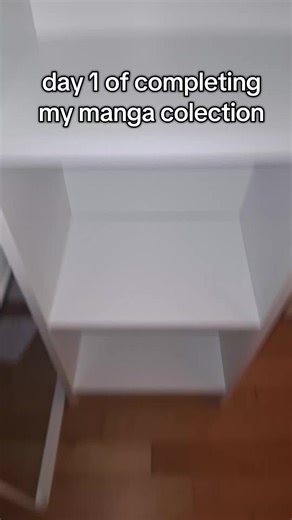 Completing My Demon Slayer Manga Collection