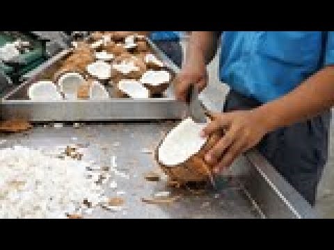 This Coconut Chip Line Is TOO Satisfying — I Can’t Stop Watching!