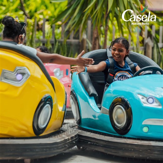 2.7K views · 848 reactions | Casela est LA destination incontournable...