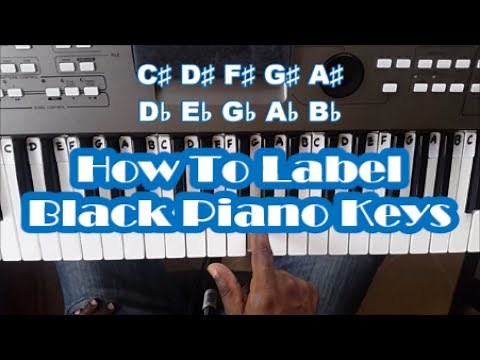 Piano Key Notes for Beginners Lesson 2 - Black Piano Keys Labeled - Names - Letters