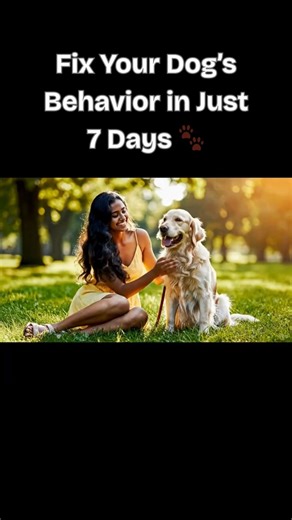 How to Fix Your Dog’s Behavior in 7 Days | Simple Brain Training For Dogs