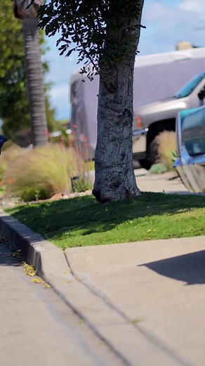 #Chevrolet #Nova #chevynova | Amazing American Cars