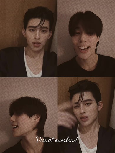 Exploring Visual Overload in Digital Content