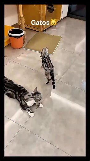 Shimu Keya | In Japan. researchers are using smart walkways to turn everyday activities into clean energy 4. These roads are embedded with special... | Instagram