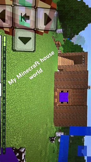 My Minecraft house world #f Minecraft