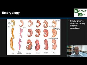 Evidence for Evolution
