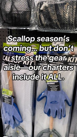 4.2K views · 23 reactions | Scalloping charters start July 1st! They’re like Easter egg hunts, but saltier!  Let Manatee Tour and Dive take care of the gear- you just show up ready for adventure! www.manateetouranddive.com  Call 352-795-1333. #manateetours #scallopseason #scalloping #crystalriver #florida #naturecoast | Manatee Tour and Dive | Facebook