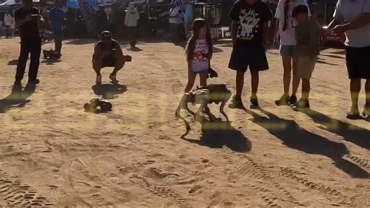 2025 proline by the 🔥 brought all the rc's out. This years craziest was the ROBO DOG to me. What was the craziest looking RC to you. #rccrawlerrtr #remotecontrol #fyp #rcoffroad #rcbuild #prolinebythefire #robodog #robot | Allaroundphotos