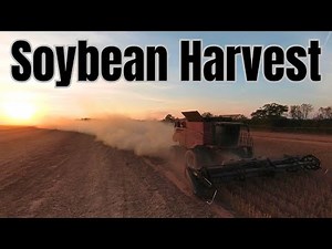 Soybean Harvest Challenges