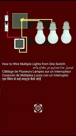 How to Wire Multiple Lights from One Switch #electrical #electrician #industrialelectrician