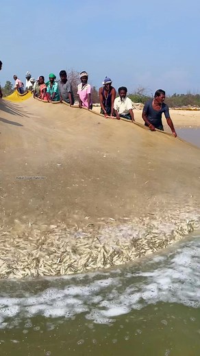 303K views · 3.7K reactions | Seashore Net Fishing-கரைவலை மீன்பிடித்தல் #reels #fishing | இந்திய பெருங்கடல் மீனவன் Indian Ocean Fisherman | Facebook