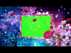 Wedding green screen Effects HD Video 121/beautiful photo frame vfx designer