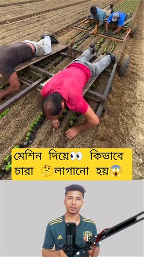 Using the Seedling Planting Machine