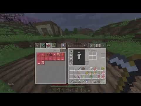 Minecraft survival part 4