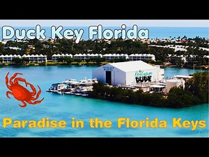 🌴 Discover Duck Key in the Florida Keys 🏝️