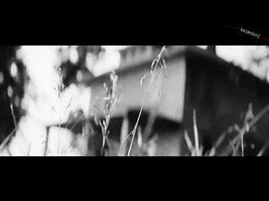 THG ×•× Peeta / Gale : She's radioactive