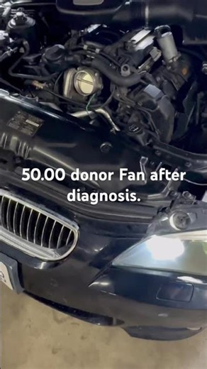 BMW E-Fan diagnosis and replacement