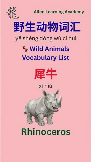 Chinese Animal Vocabulary 🐘 | Learn 15 Fun Words for Beginners