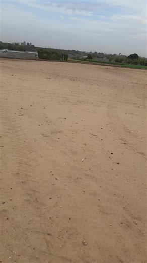 فيديوهات أنشأها Fady King of Egypt (@fadykingofegypt) باستخدام الصوت الأصلي - Elsayed hammad designer