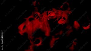 Creepy red spiders crawling in web nest, abstract Halloween background.mov
