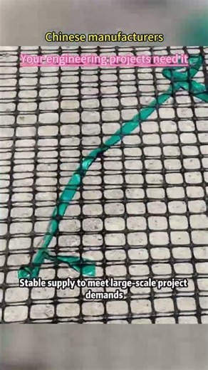 High-Strength Geogrids: The Engineered Backbone for Lasting Infrastructure #geogrid #construction