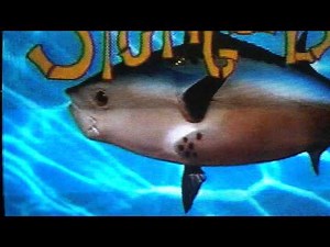 Spongebob opening song