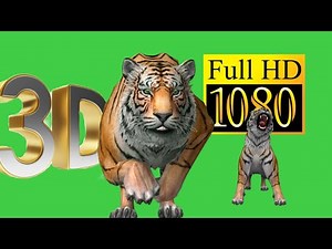 3D Tiger running | roaring in Green Screen NoCopyright 1080HD #greenscreen