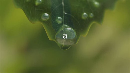 From rivers and streams to lakes and swamps, these habitats are not only home to half of all fish species, not to mention all manner of birds, reptiles and mammals—including people. Water connects us all! Even though this natural resource faces many threats, there is also much to be done. Tackling a big global crisis like this one might seem overwhelming, but you don't have to do it alone. Learn more about how to support our water program: https://preserve.nature.org/page/80910/donate/1?supporte