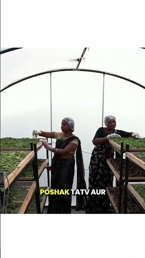 Transform Your Produce with Raheja Solar Food Dryer | Preserve Quality & Nutrition!
