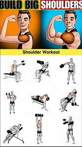 2K views · 37 reactions | Shoulder Power & Definition Workout (Dumbbell Focus) Build strong, rounded shoulders | Phoenix Fitness | Facebook
