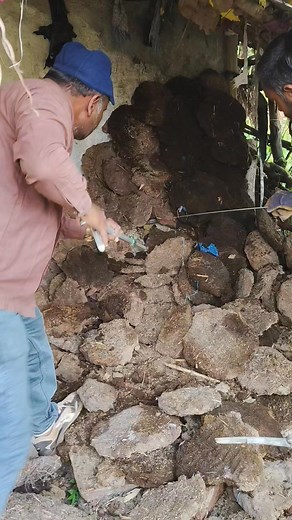 6.1K views · 780 reactions | Shreyansh Jain on Reels | Facebook