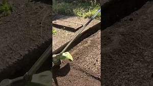 Excavating A Hidden Patio!