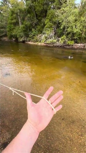 Jones learns about river current 😮‍💨 (10/11/2025)