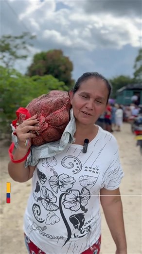 #ConDignidadCumplimos | 🥔 A través del programa de manejo de excedentes estacionarios de papa, garantizamos ingresos justos para las familias agricultoras 👨🏻‍🌾👩🏻‍🌾 y fortalecemos la seguridad alimentaria del país, 🇨🇴 gracias a la articulación entre el Estado, las asociaciones de productores y las entidades territoriales. 🫱🏽‍🫲🏾 ¡#UnaPapitaCon esmero y dignidad para las familias de Fortul, #Arauca! 🥔🥣 | Minagriculturacol
