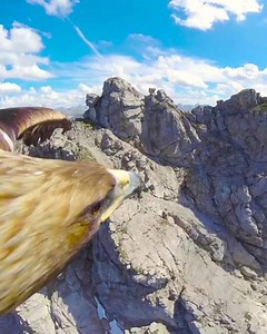 226K views · 6.9K reactions | Apertem os cintos... . A eaglecam...