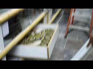 Part 1: Attack Snake